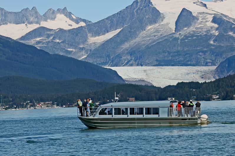 From Juneau: Whale Watching Cruise with Snacks - Duration and Timing
