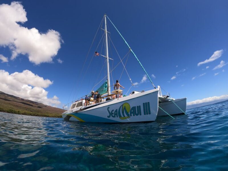 From Ka'anapali: West Maui Half-Day Snorkel Tour w/ Food - Who Is This Tour Best Suited For?