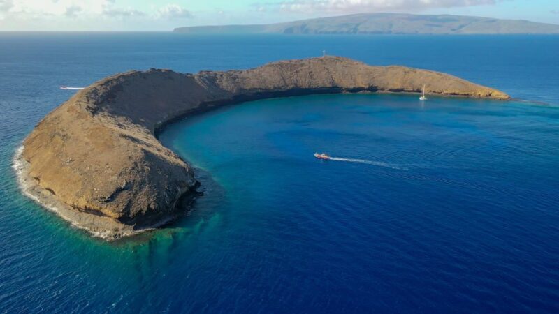 From Kihei: Molokini Crater and Turtle Town Snorkeling - What Makes This Tour Stand Out?