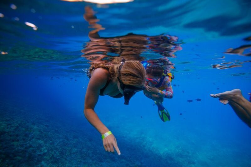 From Kihei: Molokini Crater and Turtle Town Snorkeling - Final Words