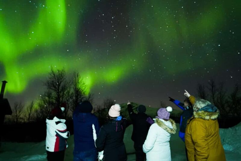 From Kiruna: Abisko National Park Northern Lights Tour - Introduction