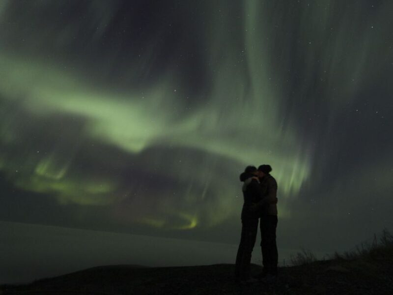 From Kiruna: Northern Lights Guided Husky Sledding Adventure - What to Expect from the Husky Sledding Tour
