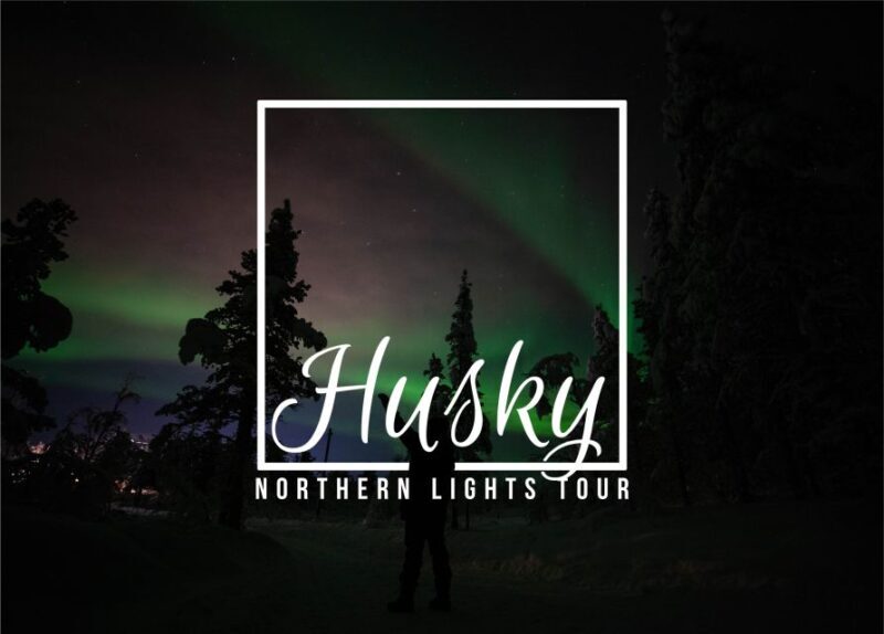 From Kiruna: Northern Lights Guided Husky Sledding Adventure - The Included Extras: Value for Money