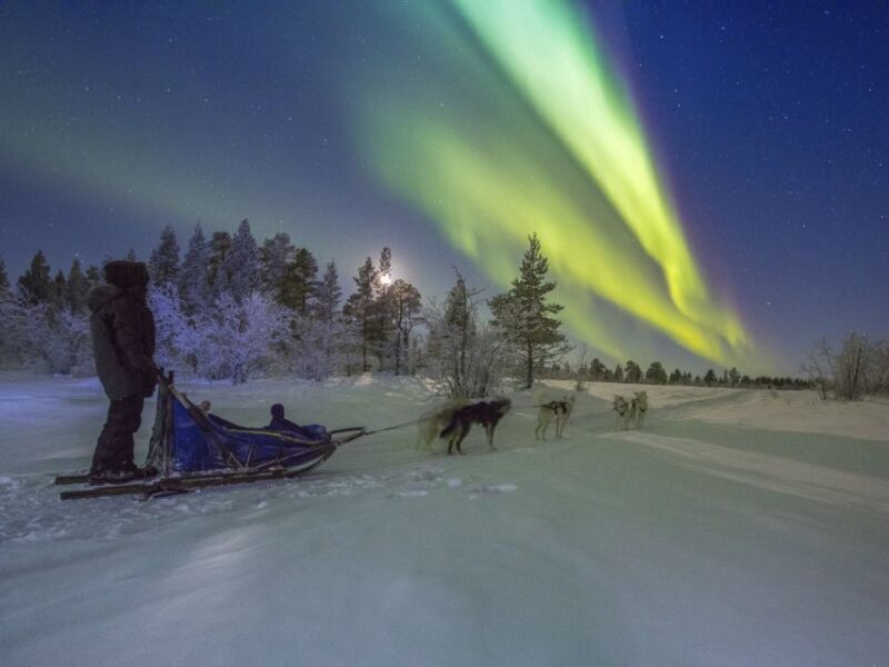 From Kiruna: Northern Lights Guided Husky Sledding Adventure - Practical Tips for Travelers
