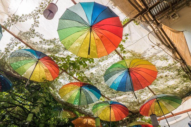 From Kos: Independent Day Trip to Bodrum - Who is this trip best suited for?