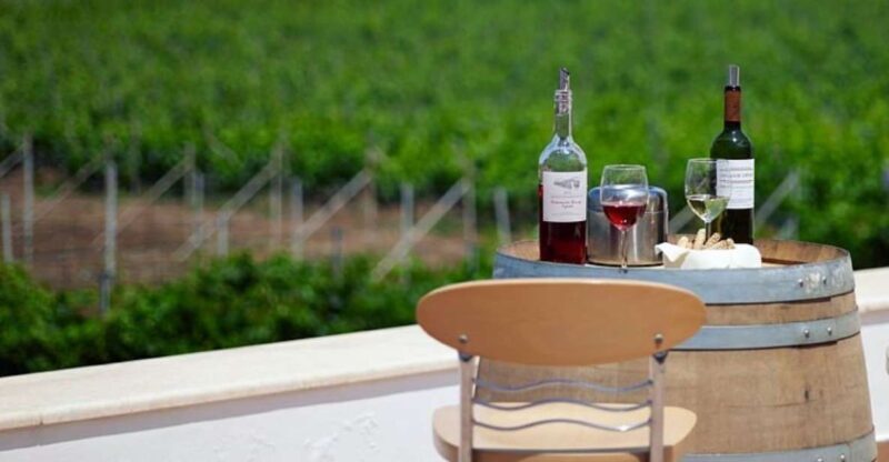 From Kos: Tour of 2 Wineries with Wine Tasting & Small Bites - Why This Tour Is a Great Pick