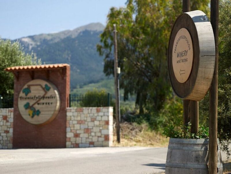 From Kos: Tour of 2 Wineries with Wine Tasting & Small Bites - Who Would Love This Experience?  