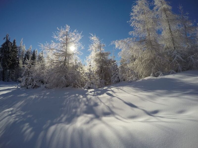 From Krakow: 3-Hour Skiing Experience Suitable for Beginners - Why Choose This Experience?