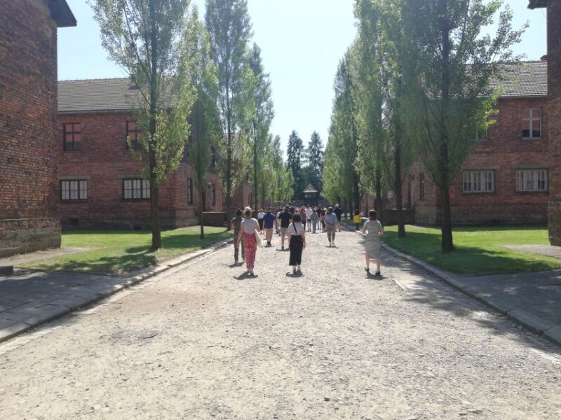 From Krakow: Auschwitz-Birkenau and Self-Guided Day Tour - The Experience in Detail