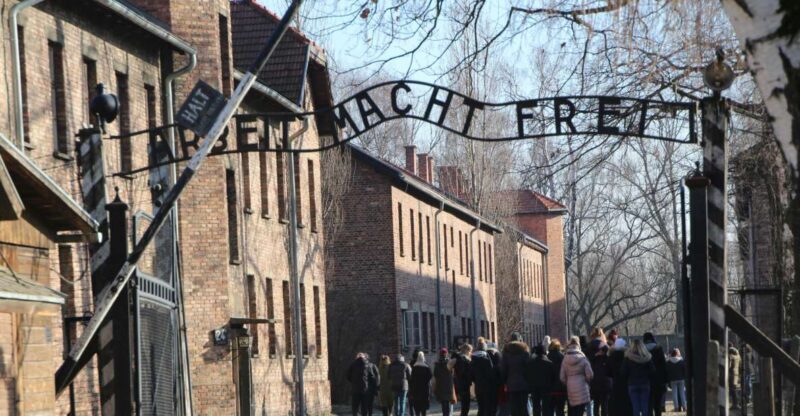 From Krakow: Auschwitz-Birkenau and Self-Guided Day Tour - What Sets This Tour Apart
