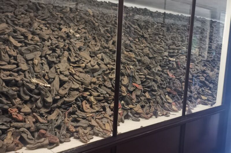 From Krakow: Auschwitz-Birkenau Camp Complex Guided Day Trip - FAQs