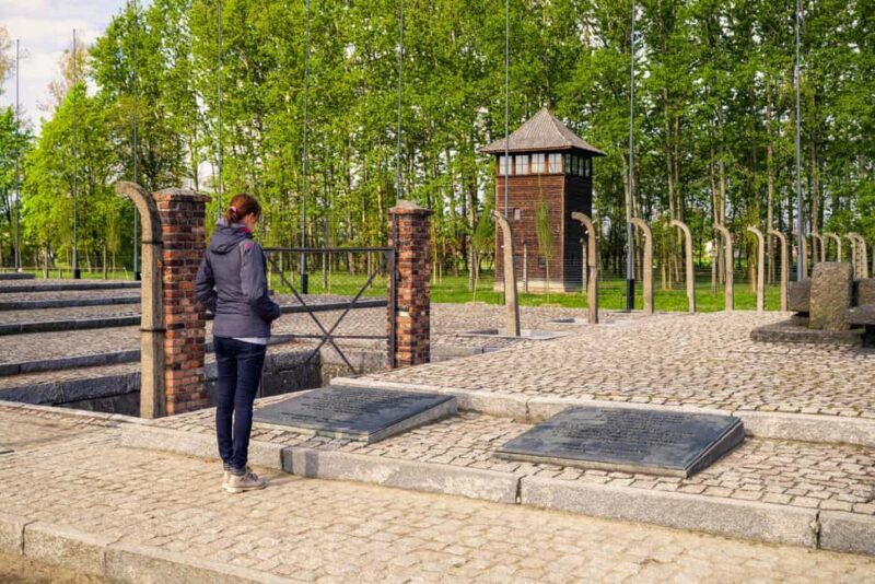 From Krakow: Auschwitz-Birkenau Day Tour with Pickup - What to Expect from the Auschwitz-Birkenau Day Tour  