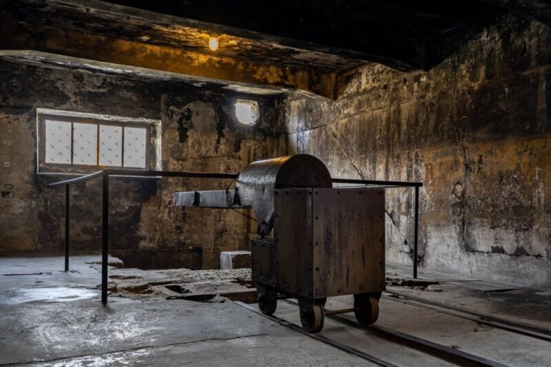 From Krakow: Auschwitz-Birkenau Full-Day Guided Tour - Who Should Consider This Tour?