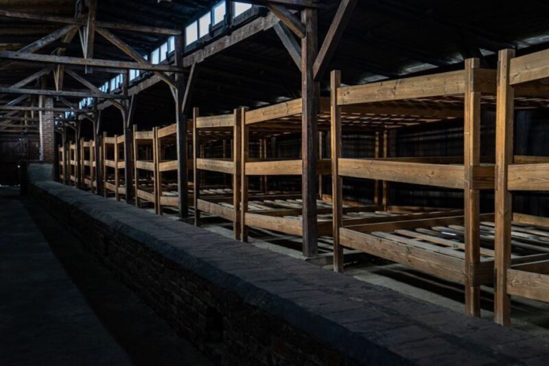 From Krakow: Auschwitz-Birkenau Full-Day Tour - What You Can Expect from This Auschwitz-Birkenau Tour