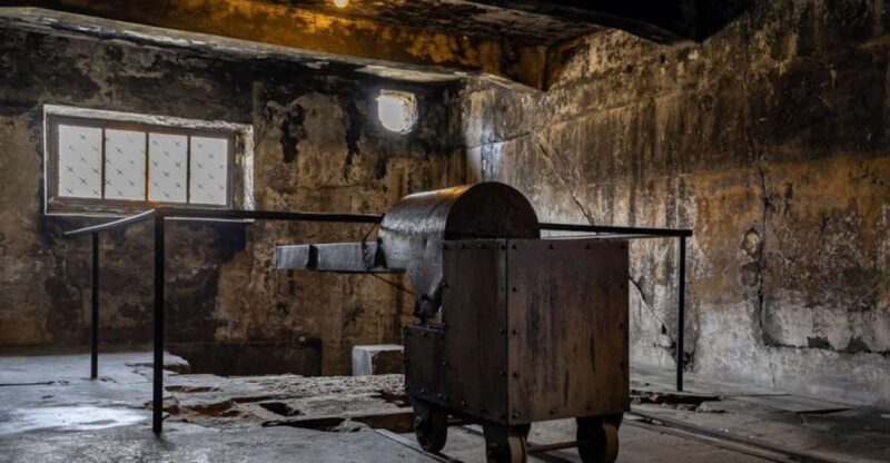 From Krakow: Auschwitz-Birkenau Full-Day Tour - Is This Tour Right for You?