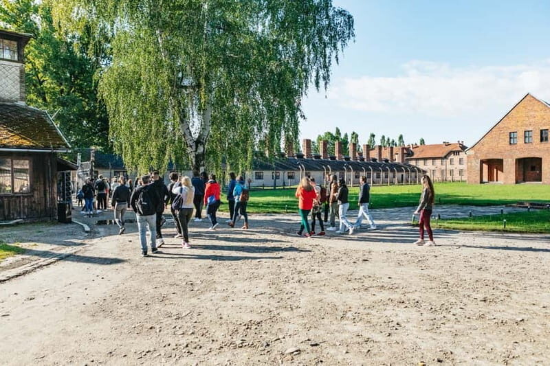 From Krakow: Auschwitz-Birkenau Guided Tour & Hotel Pickup - Final Thoughts: Who Should Consider This Tour?