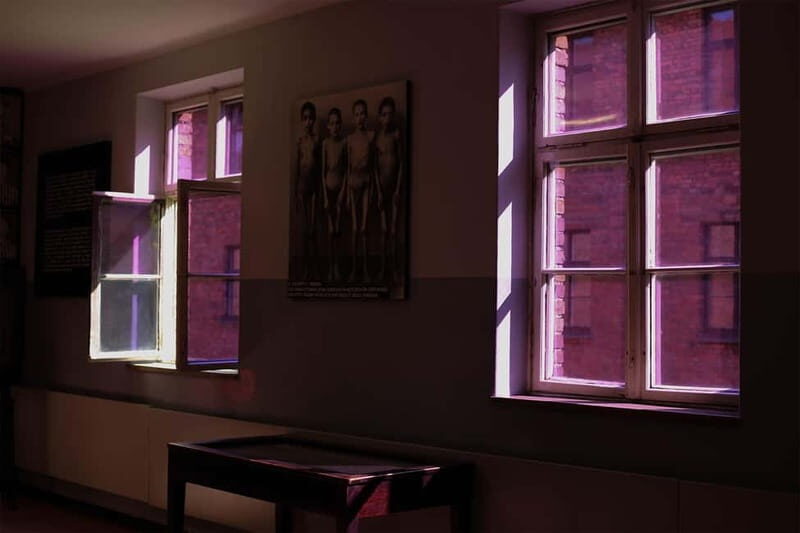 From Krakow: Auschwitz-Birkenau Guided Tour & Pickup Options - Exploring the Auschwitz-Birkenau Guided Tour from Krakow: An Honest Review