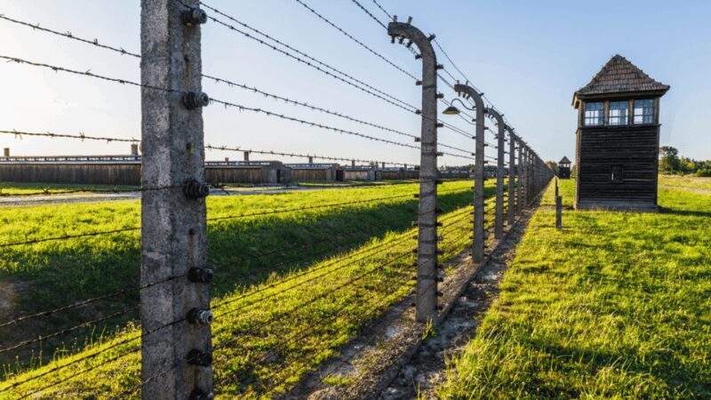 From Krakow: Auschwitz-Birkenau Guided Tour, Several Options - Practical Details and Tips