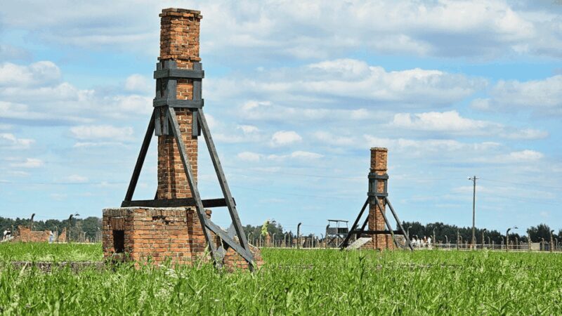 From Krakow: Auschwitz-Birkenau Guided Tour, Several Options - Who Is This Tour Best For?