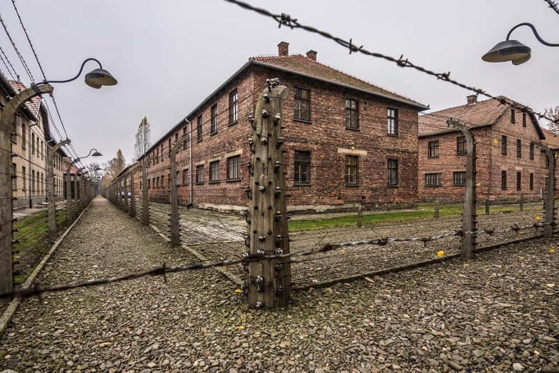 From Krakow: Auschwitz-Birkenau Guided Tour & Transportation - Key Points