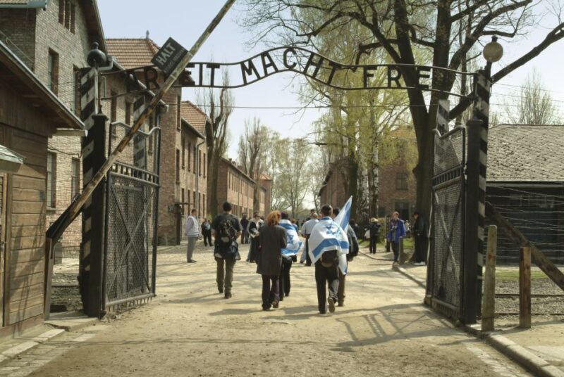 From Krakow: Auschwitz-Birkenau Memorial and Museum Tour - Key Points