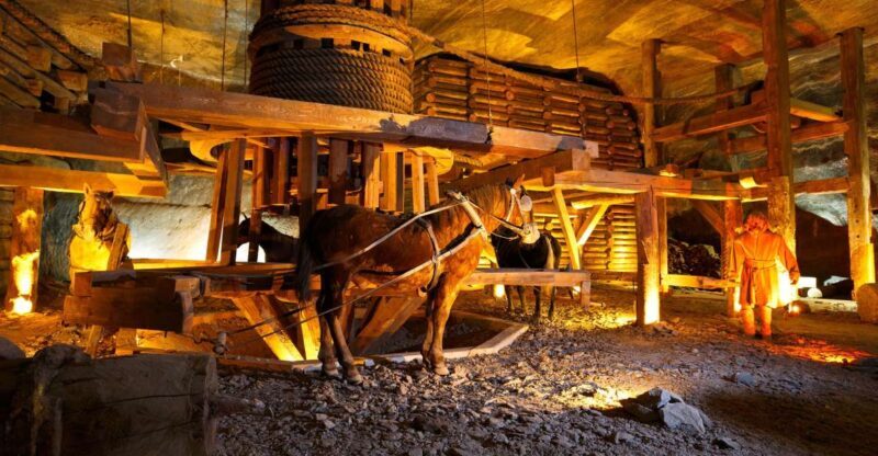 From Krakow: Auschwitz-Birkenau & Salt Mines with Lunch - Key Points