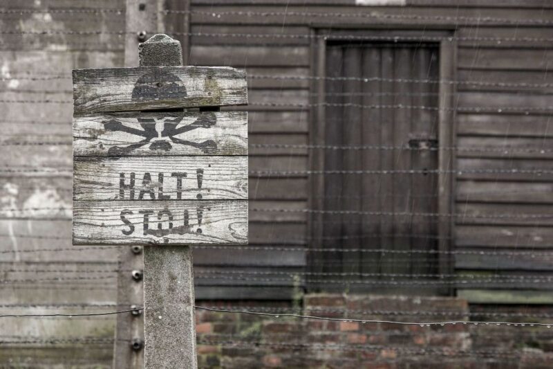 From Krakow: Auschwitz-Birkenau & Schindler's Factory Tour - What to Expect