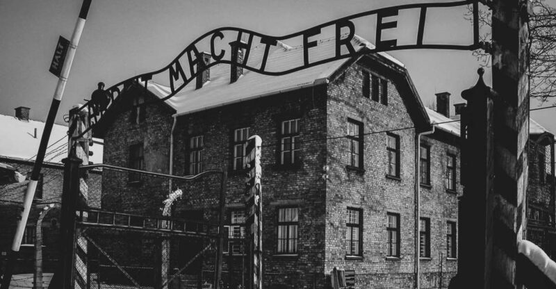 From Krakow: Auschwitz Birkenau Self-Guided Tour - The Full Experience: What to Expect