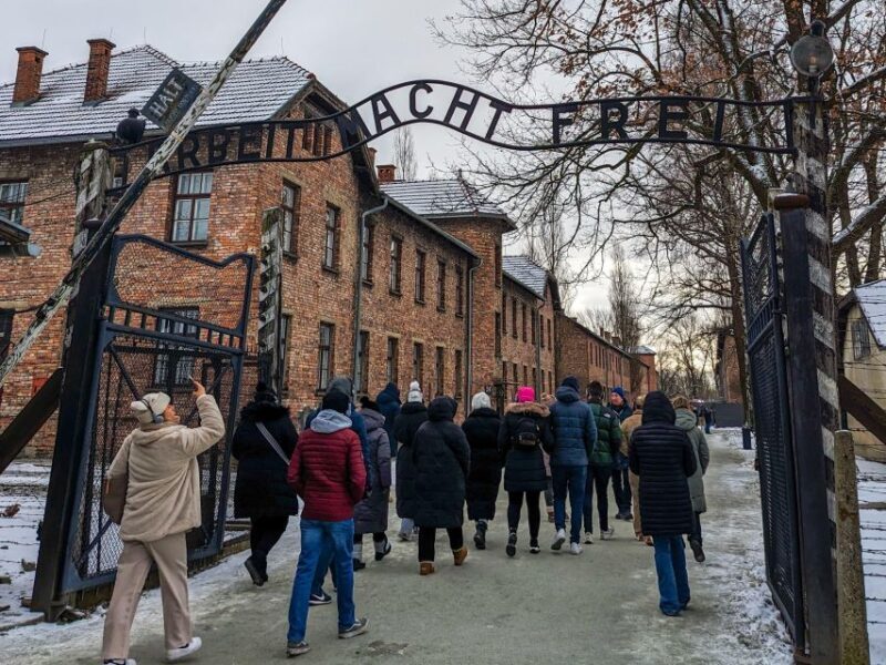 From Krakow: Auschwitz Birkenau Self-Guided Tour - Who Should Consider This Tour?