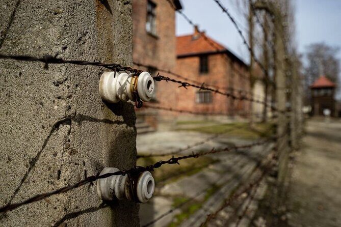 From Kraków: Auschwitz-Birkenau Tour with Lunch Box and Pick Up - Key Points