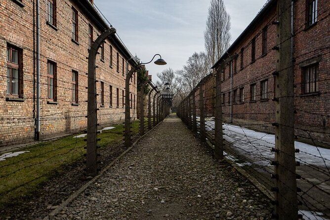 From Kraków: Auschwitz-Birkenau Tour with Lunch Box and Pick Up - Authentic Experiences and Insights from Reviews