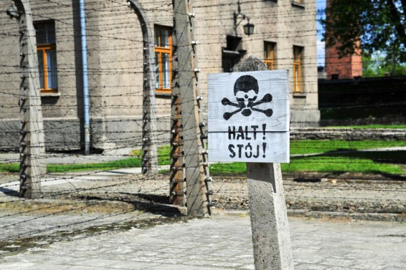 From Krakow: Auschwitz-Birkenau Tour with Transportation - Reflecting at the Memorials