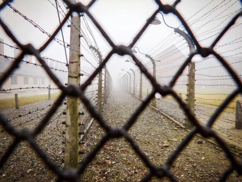 From Krakow: Auschwitz-Birkenau Tour with Transportation - Key Points