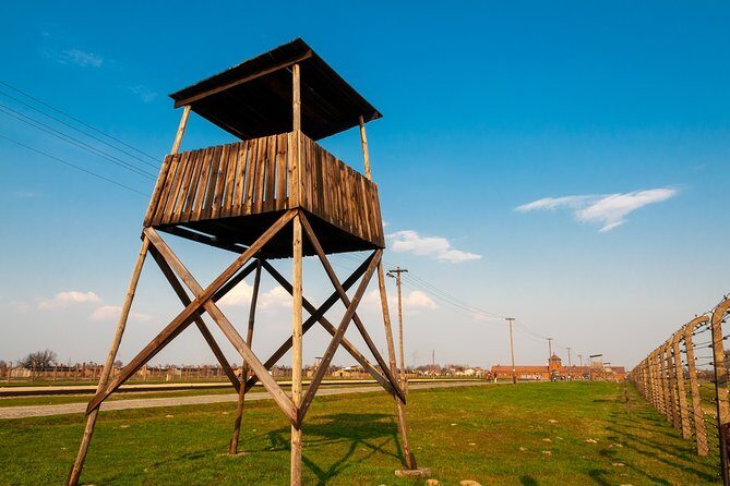 From Krakow: Live Guided Tour Auschwitz-Birkenau - Who Will Benefit from This Tour?