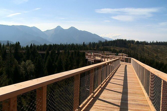 From Kraków: Slovakia Treetop Walk Bachledka and Zakopane - An In-Depth Look at the Itinerary