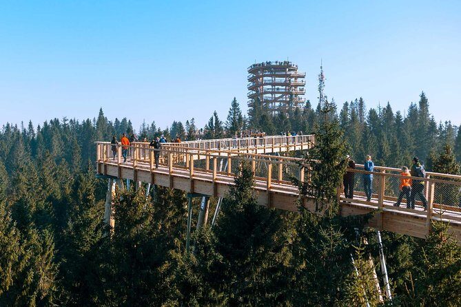 From Kraków: Slovakia Treetop Walk Bachledka and Zakopane - FAQ