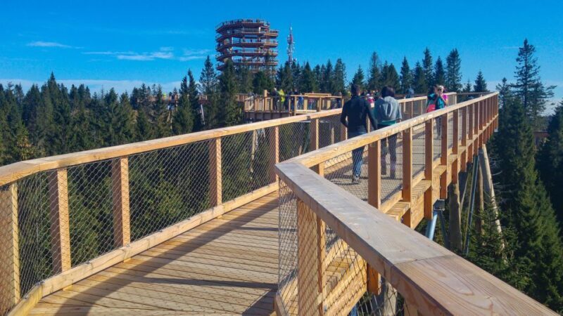 From Krakow: Slovakia Treetop Walk, Zakopane & Thermal Spa - Who Is This Tour Best For?