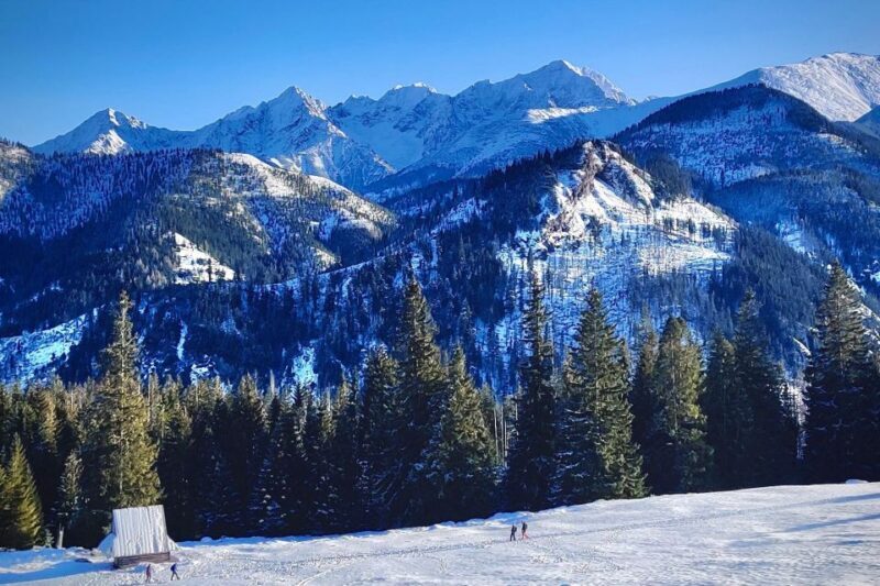 From Krakow: Snowmobile adventure and Thermal Baths tour - Who Should Consider This Tour?