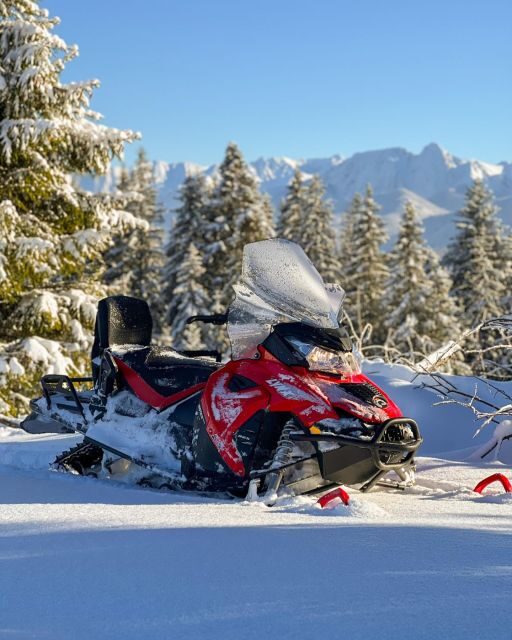 From Krakow: Snowmobile adventure and Thermal Baths tour - The Sum Up