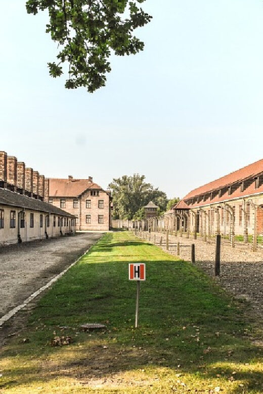 From Krakow: Wieliczka Salt Mine & Auschwitz Guided Trip - Practical Tips for Your Trip