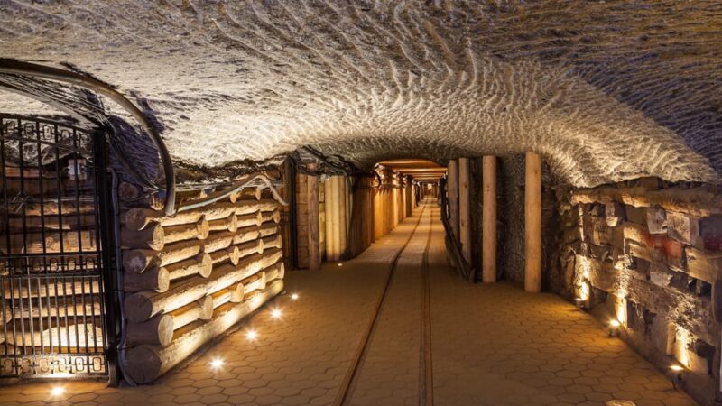 From Krakow: Wieliczka Salt Mine & Auschwitz Guided Trip - Who Should Consider This Tour?