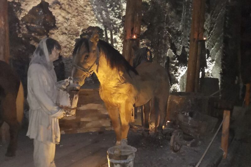 From Krakow: Wieliczka Salt Mine Tour - FAQs