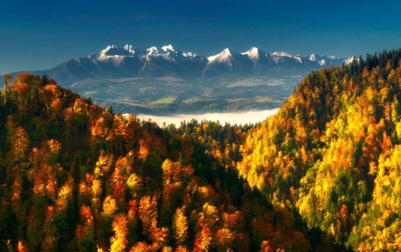 From Kraków: Witów Skiing and Zakopane Tour - Considerations for Travelers