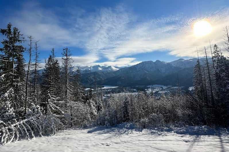 From Krakow: Zakopane Day Trip with Funicular & Food Tasting - Why Choose the Zakopane Day Trip?