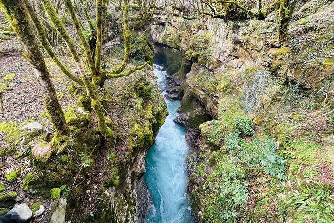 From Kutaisi: Canyons and Caves Tour with Transfer to Tbilisi - Final Words