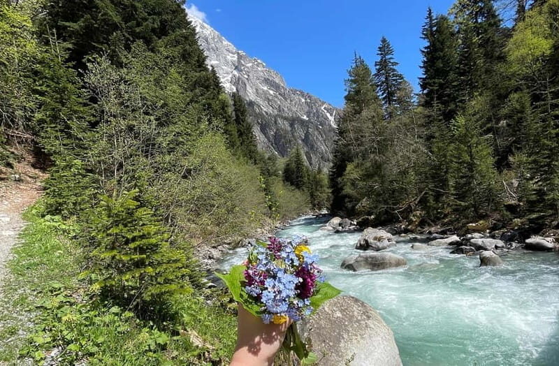 From Kutaisi: Svaneti Mountain Villages 2-Day 4x4 Safari - Introduction: Why This Tour is Worth Considering