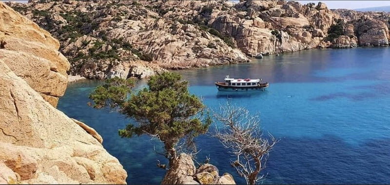 From La Maddalena or Palau: Archipelago Boat Tour - Who Should Consider This Tour?