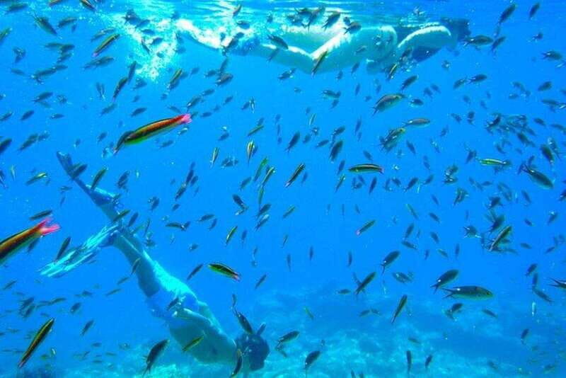 From La Paz: Espiritu Santo Island Adventure - Key Points