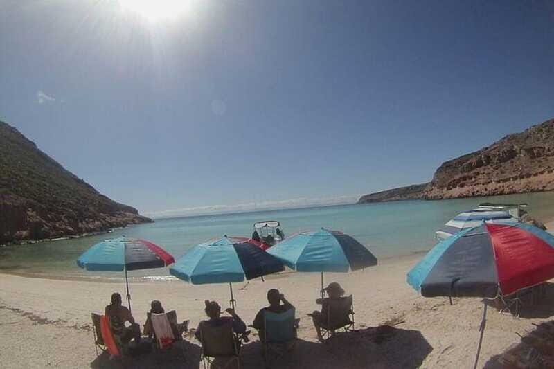 From La Paz: Espiritu Santo Island Adventure - Who Will Love This Tour?