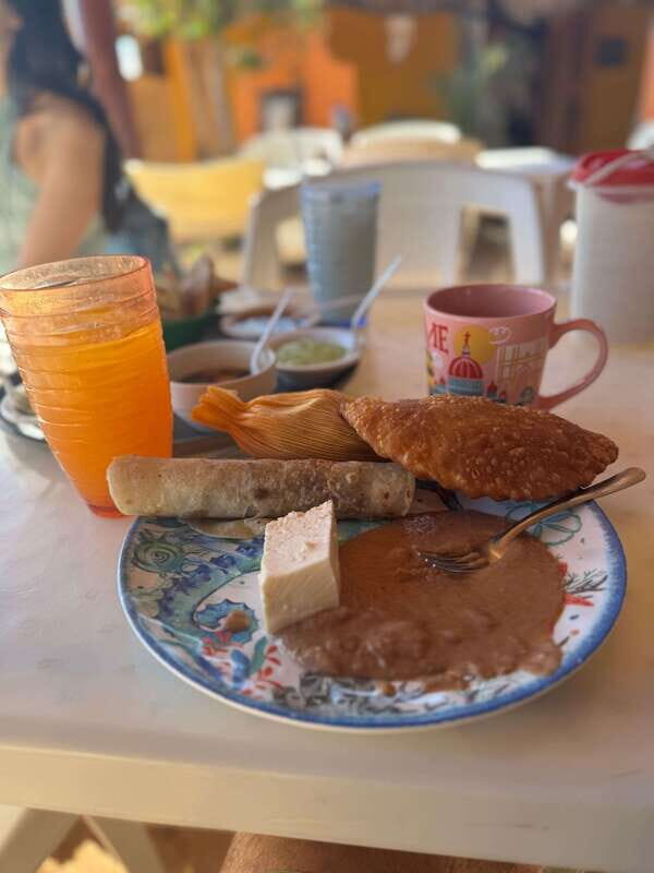 - From La Paz to Los Cabos: A Private Tour at Your Own Pace". - Who This Tour Is Perfect For